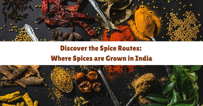 India's Unlikely Superfoods: 20 Hidden Gems for Better Health – Hathi Masala