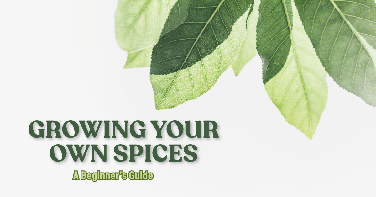 Grow Your Own Spice Garden: Easy Guide for Fresh, Flavorful Herbs ...